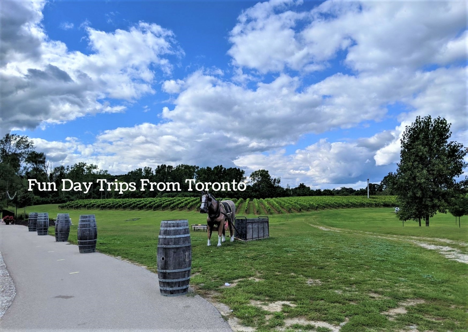 Fun Day Trips From Toronto Parenting To Go fun-day-trips-from-toronto-parenting-to-go