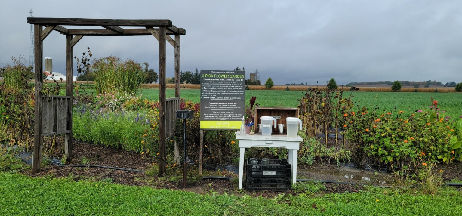 Farm Experiences in Perth County with Kids : Parenting To Go