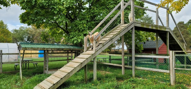 Farm Experiences in Perth County with Kids : Parenting To Go