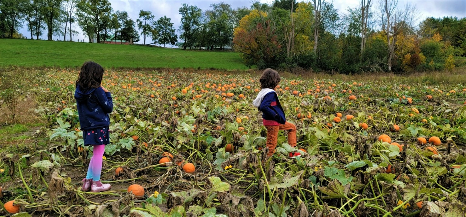 Farm Experiences in Perth County with Kids : Parenting To Go