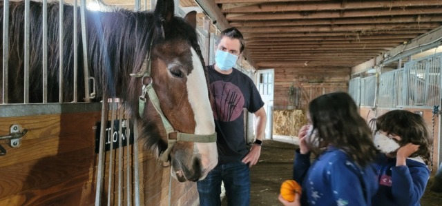 Farm Experiences in Perth County with Kids : Parenting To Go