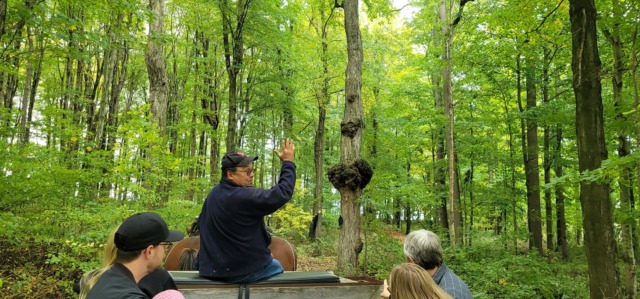 Farm Experiences in Perth County with Kids : Parenting To Go