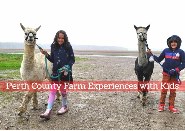 Farm Experiences in Perth County with Kids : Parenting To Go