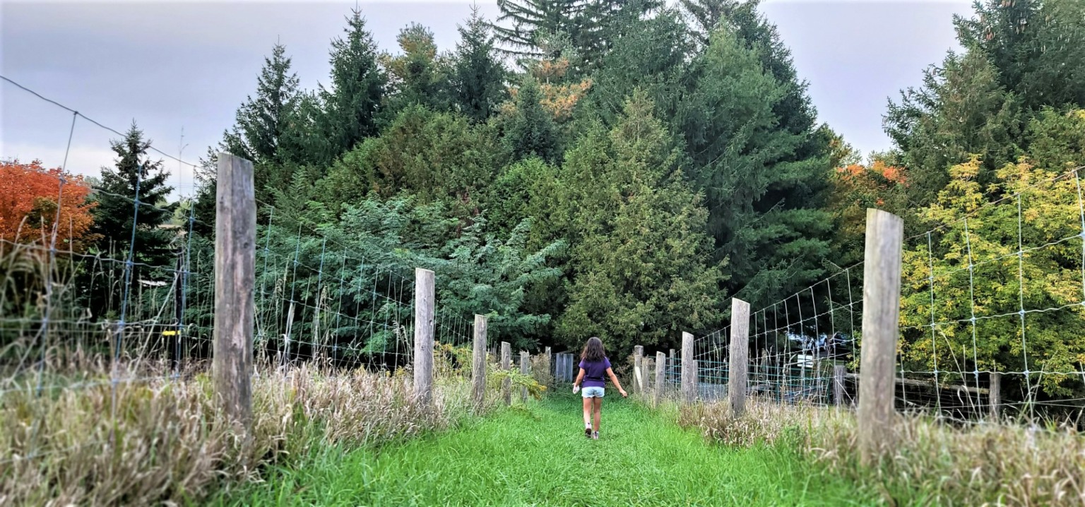 Farm Experiences in Perth County with Kids : Parenting To Go