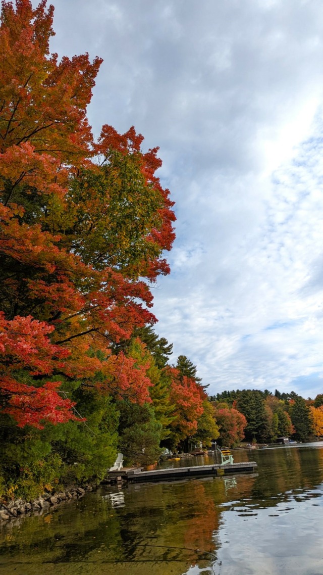 A Tasty Muskoka Fall Colours Drive | Cranberry Route : Parenting To Go