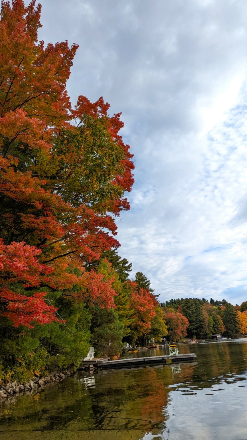 A Tasty Muskoka Fall Colours Drive | Cranberry Route : Parenting To Go