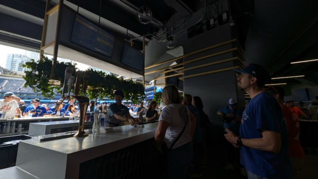 Tips for an Afternoon at the Blue Jays Game with Kids : Parenting To Go