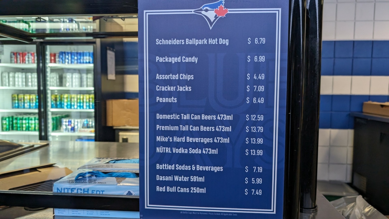 Tips for an Afternoon at the Blue Jays Game with Kids : Parenting To Go