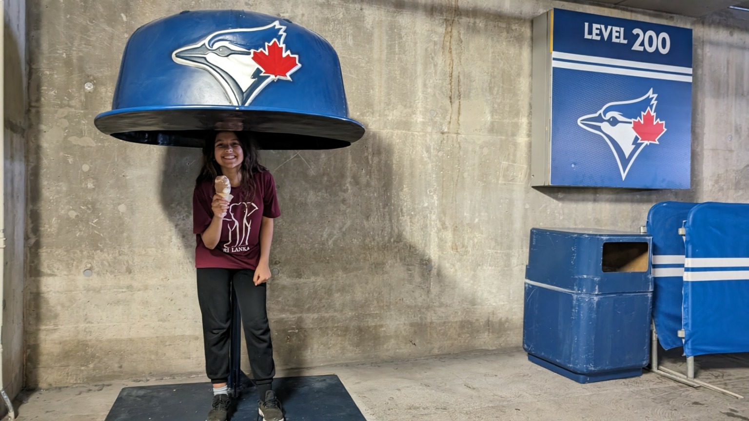 Tips for an Afternoon at the Blue Jays Game with Kids : Parenting To Go