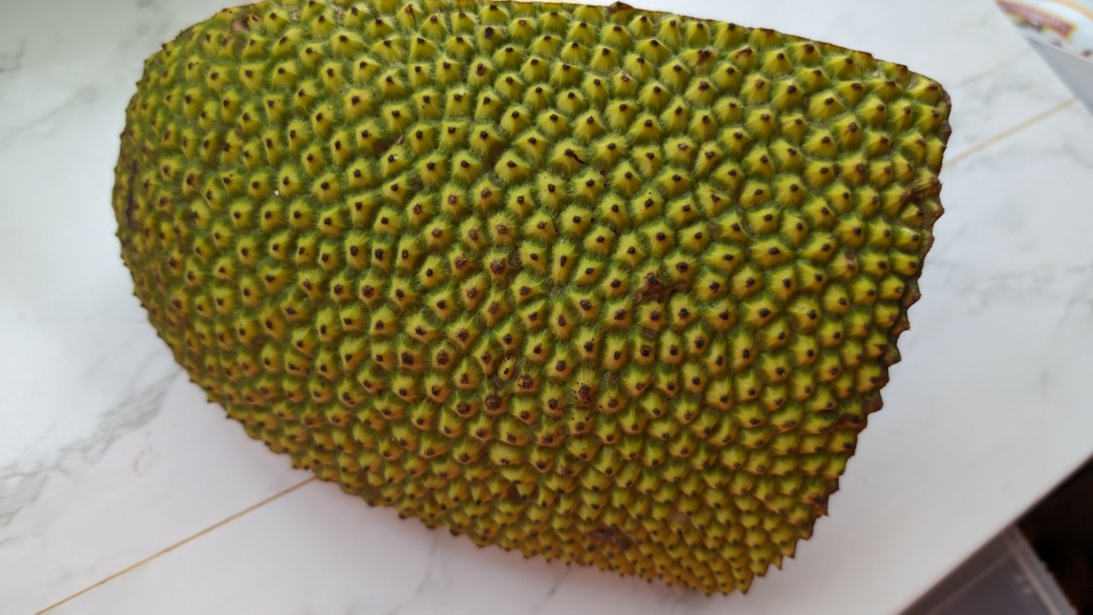 Cooking Jackfruit : Jackfruit Recipes for Every Part : Parenting To Go